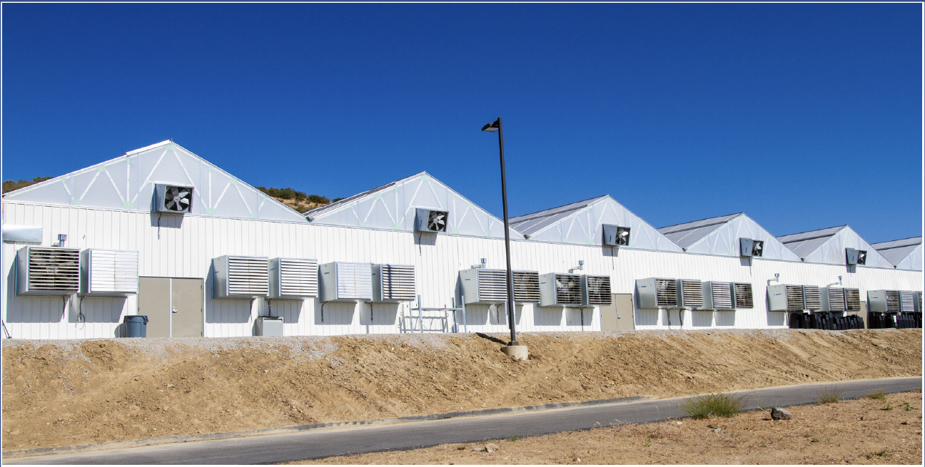 Engineering – Colonial Engineers